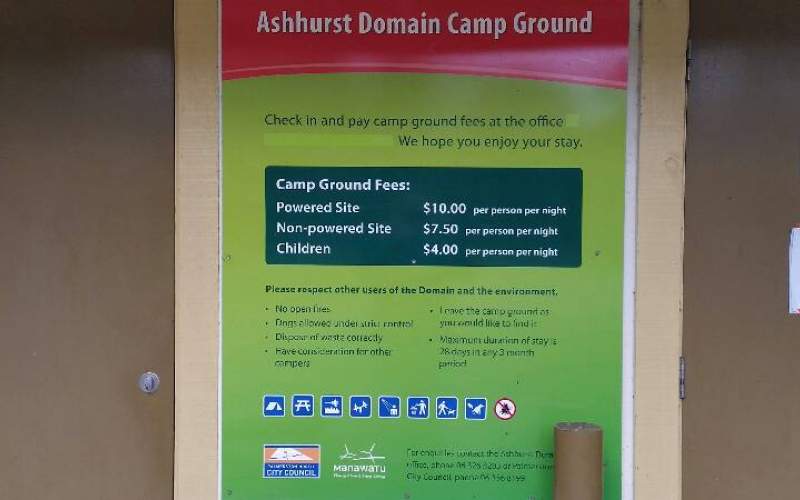 Ashhurst Domain Campground | Freedom/Basic Camp | New Zealand